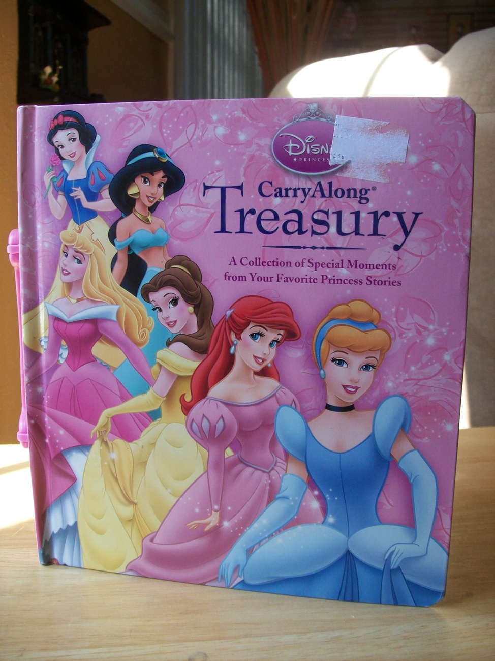 Disney Princess Carry Along Treasury Book - Books