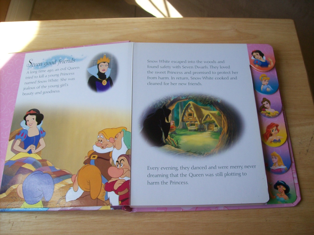 Disney Princess Carry Along Treasury Book - Books