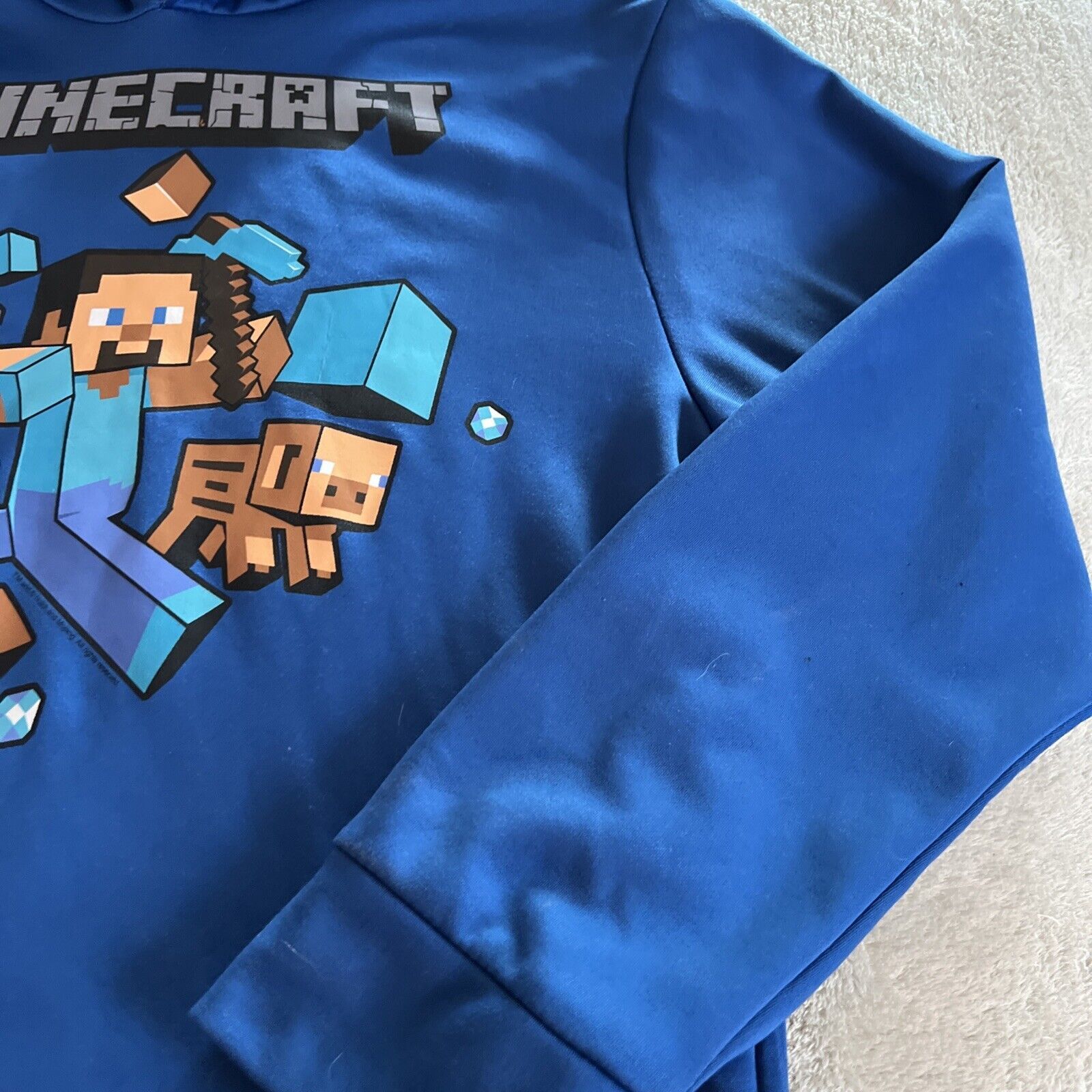 Mojang Jinx Minecraft Boys Blue Creeper Steve Pig Long Sleeve Hoodie ...