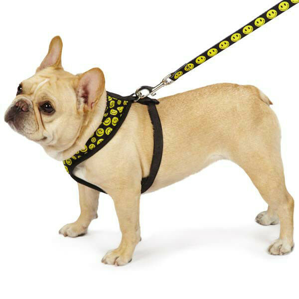 SMILEY FACE Dog Harness & Leads Sets Cute Yellow and Black Happy Dogs ...
