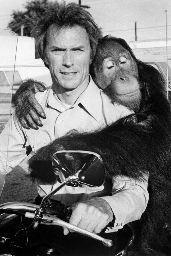CLINT EASTWOOD AND CLYDE ON MOTORBIKE EVERY WHICH WAY BUT LOOSE 24X36 ...