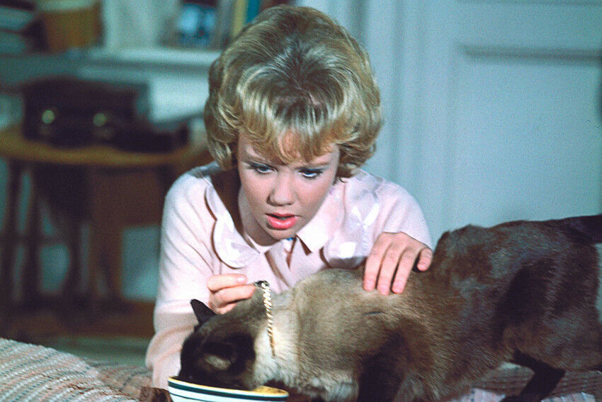Hayley Mills As Patti Randall In That Darn Cat! 11x17 Mini Poster ...