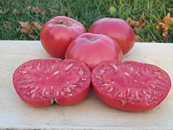 Heirloom Pink Girl Big Bunches of Tomato 100 seeds healthy nutritious ...