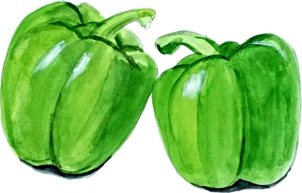 Bell Pepper Sticker Decal Quality Helmet Equipment Cooler Gift Storage ...