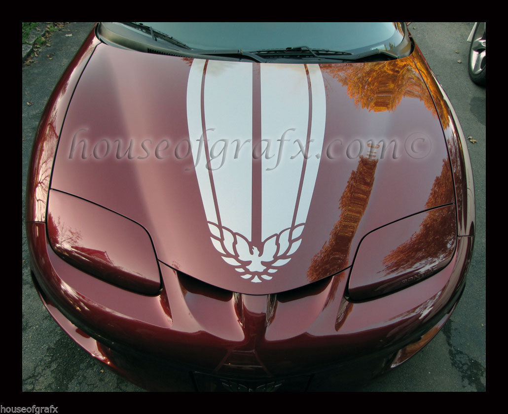 Universal Hood Stripe Bird Phoenix Decal decals graphic GT Pontiac ...