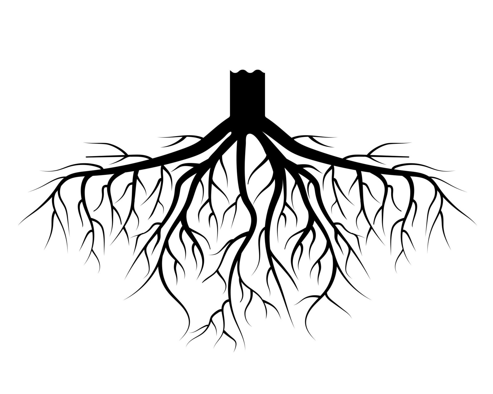 Root svg, roots svg, tree roots svg, roots template, root dxf, roots ... Root svg, roots svg, tree roots svg, roots template, root dxf, roots ...