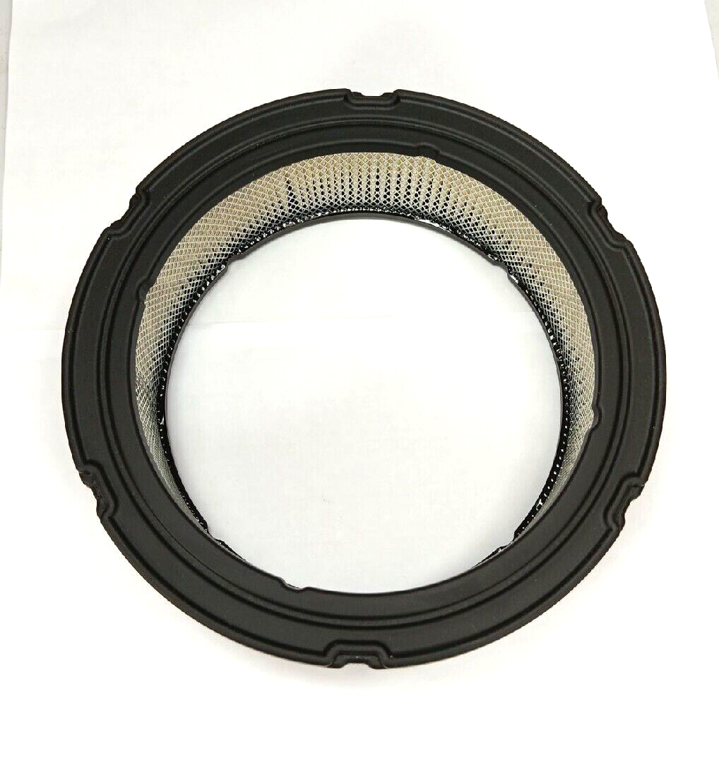 New Genuine Briggs & Stratton 4135 394018S Air Filter Cartridge for ...