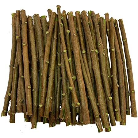 Organic Neem Tree Stem Fresh & dried Neem Stem for sale -10 Stems 12 ...