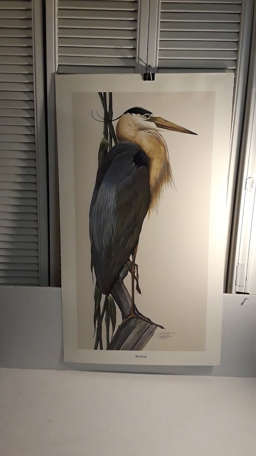 BLUE BEAUTY PRINT BY ART LAMAY, LIMITED EDITION 270/1250 - Art Prints