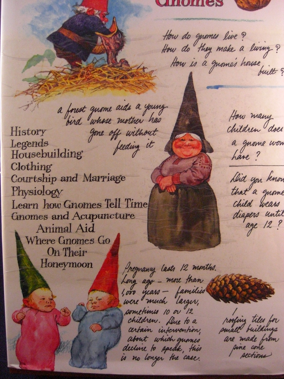 GNOMES by Wil Huygen & Rien Poortvliet Hardcover Autographed - Fiction ...