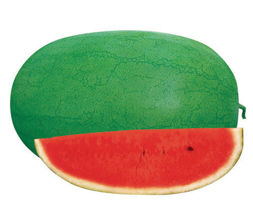 Big Long Red Sweet Seedless Watermelon Organic, 20 Seeds - Other Plants ...