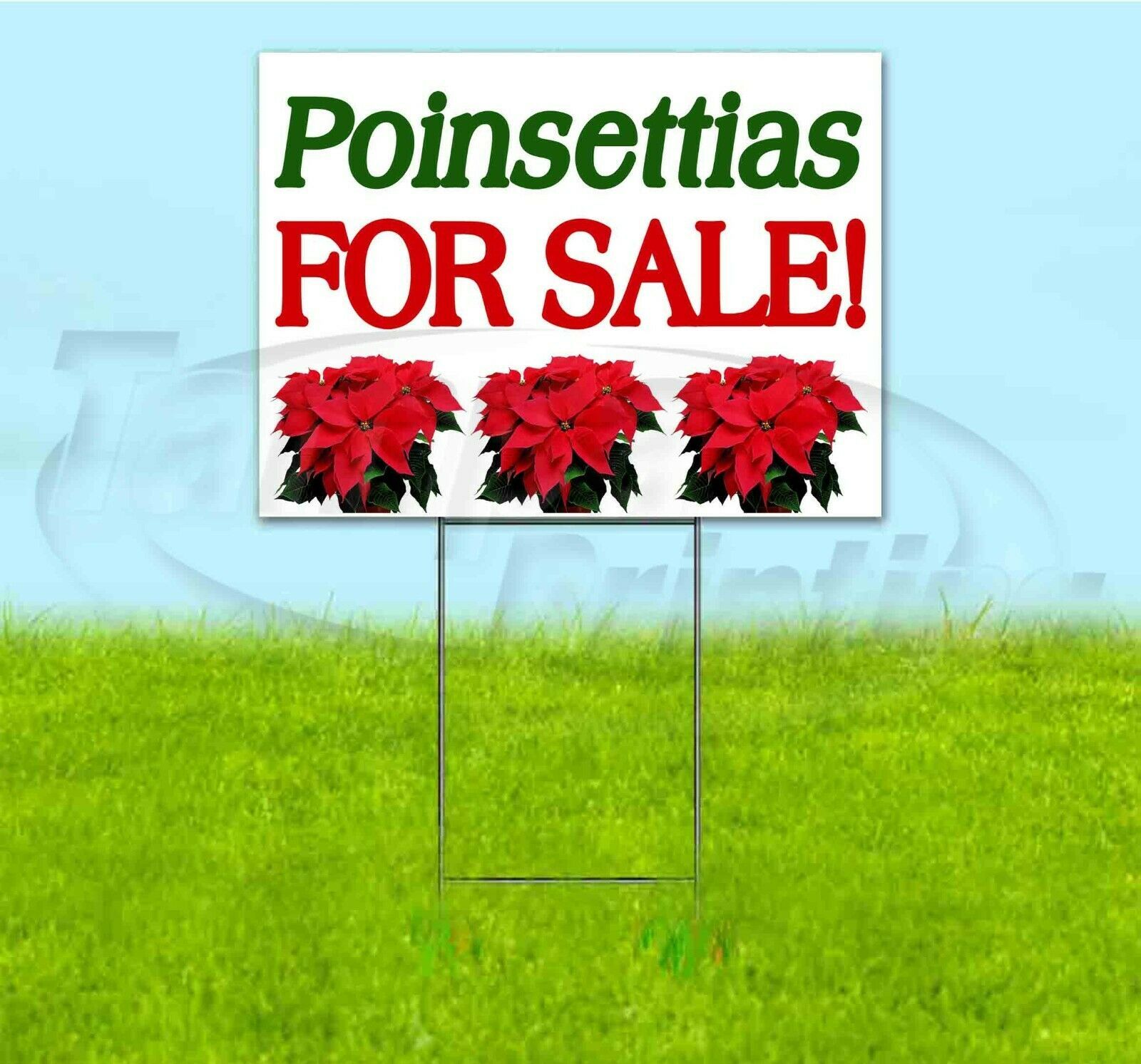 POINSETTIAS FOR SALE 18x24 Yard Sign WITH STAKE Corrugated Bandit USA ...