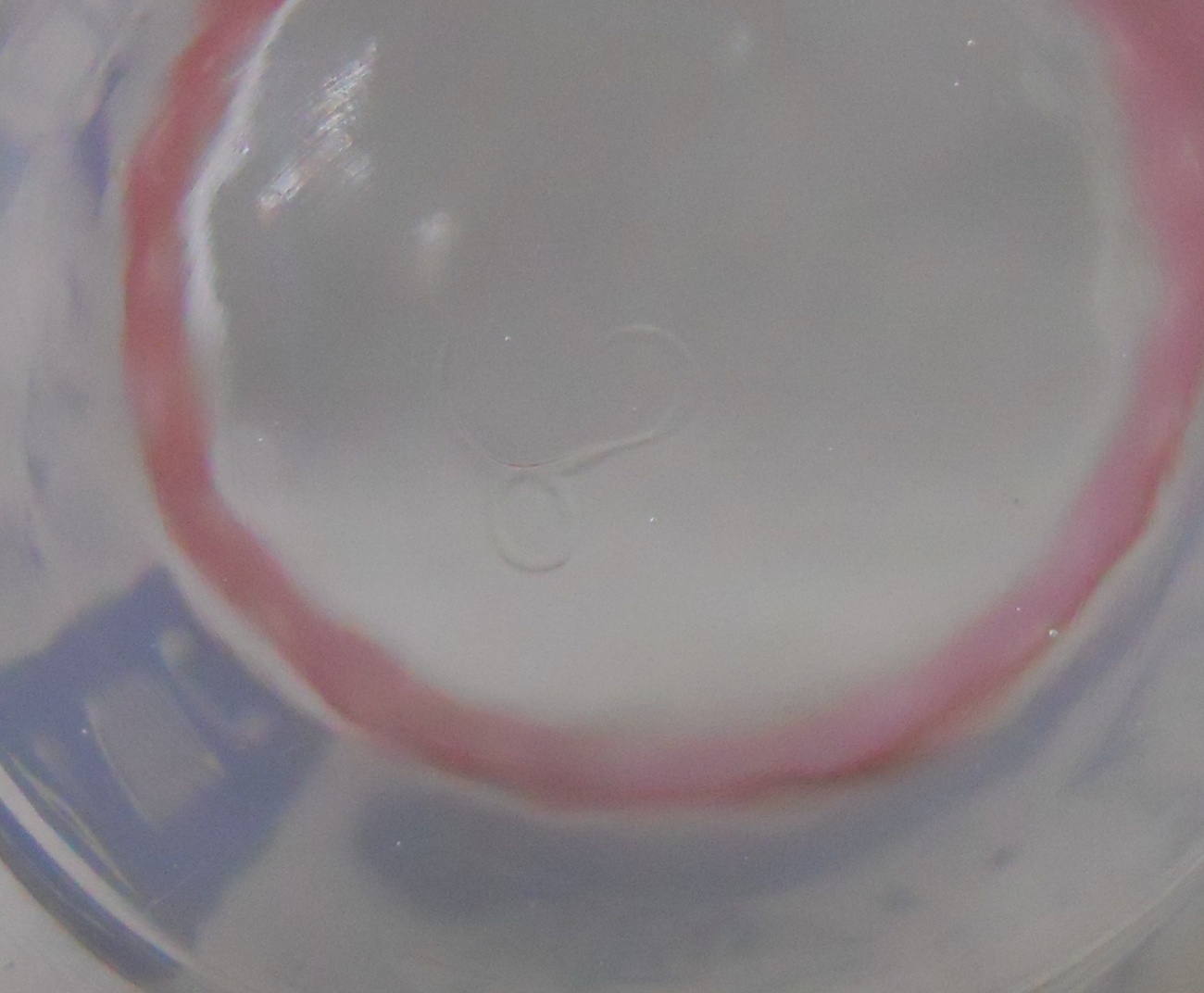 Vintage Return To The Moon Apollo 12 Commemorative Tumbler Glass 1969 ...