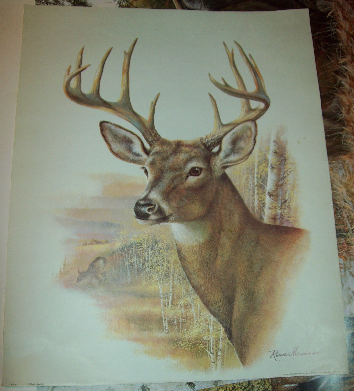 Ruane Manning Deer Print 11 x 17 1999 EC and similar items