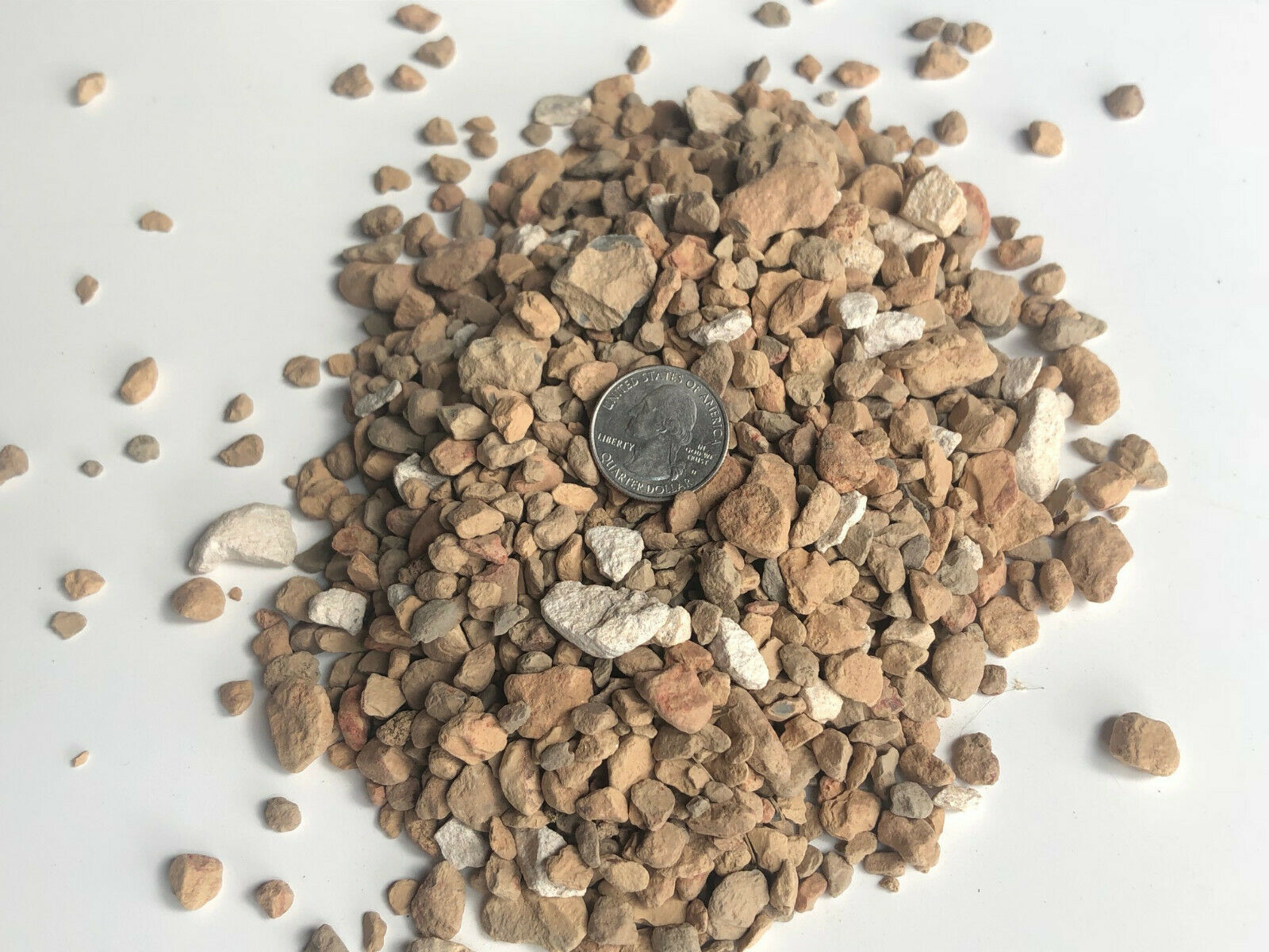 Turface- Professional Hydroponic Growth Medium/ Potting Soil -Screened ...