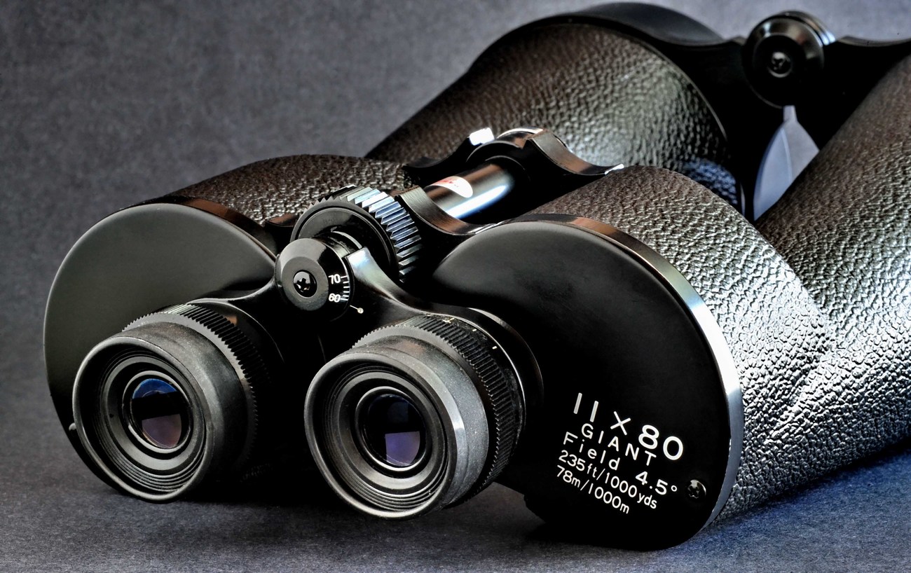 CELESTRON COMET HUNTER 11 x 80 GIANT FIELD 4.5 Degree BINOCULARS w CASE ...