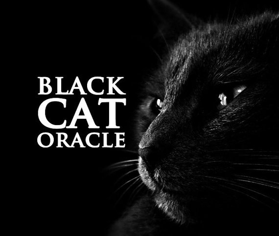The Famous Black Cat Oracle Reading - Reveal Your Inner Hopes, Dreams ...