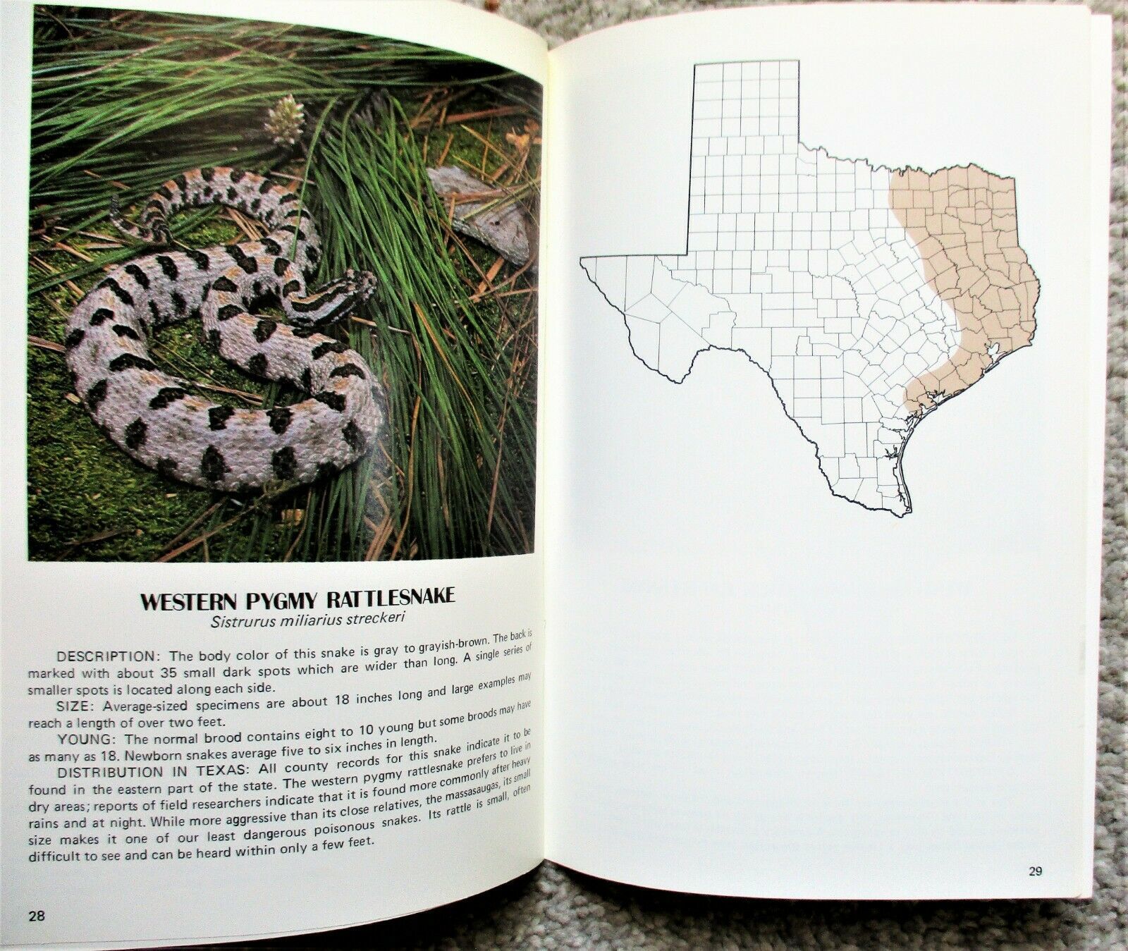 POISONOUS SNAKES OF TEXAS (1978) John E. Werler - Texas Parks ...