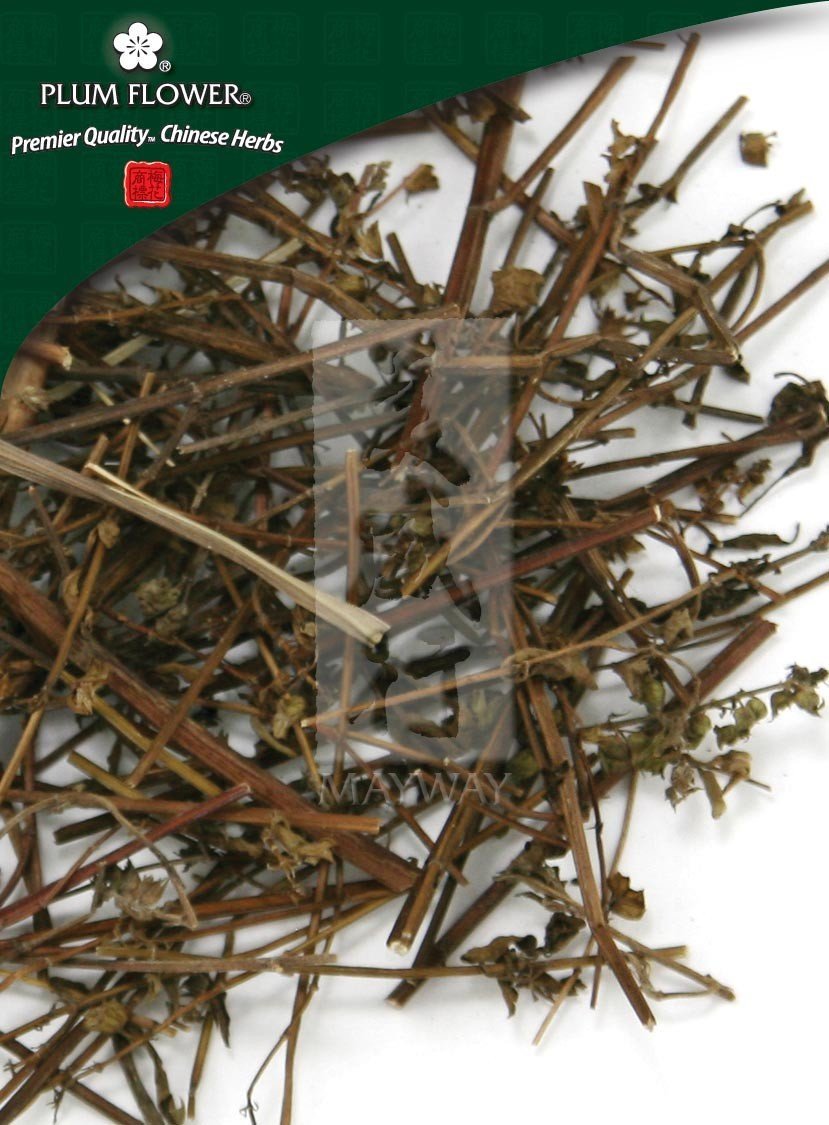 Xiang Ru, unsulfured Mosla chinensis herb - Vitamins & Lifestyle ...