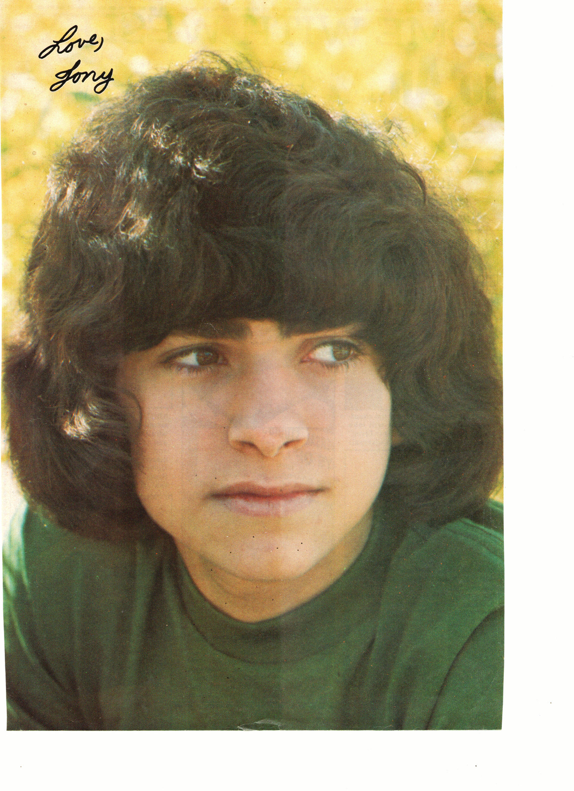 Tony Defranco teen magazine pinup clipping long black hair thinking ...