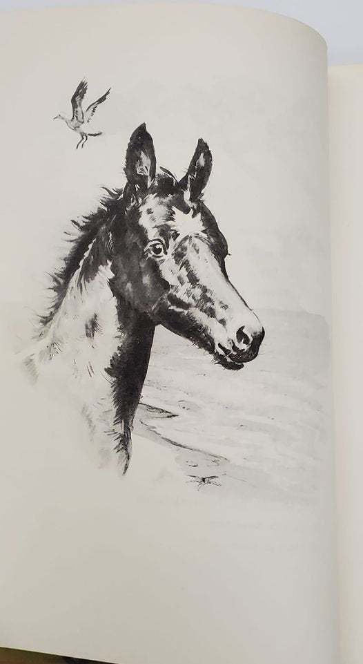 Sea Star, Orphan of Chincoteague, by Marguerite Henry and Illustrated ...