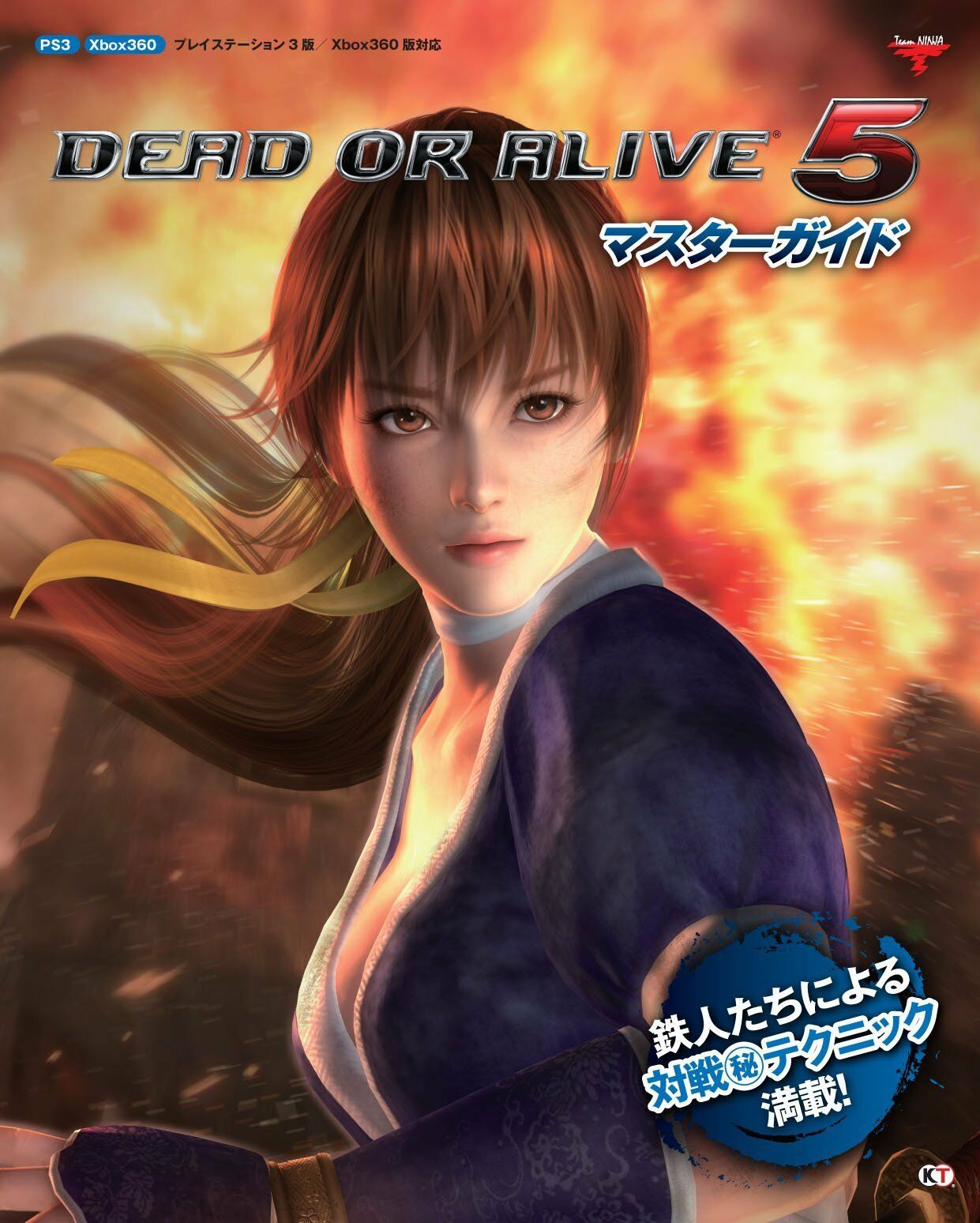 Game Dead or Alive 5 / DOA5 Master Guide Japan Book - Books