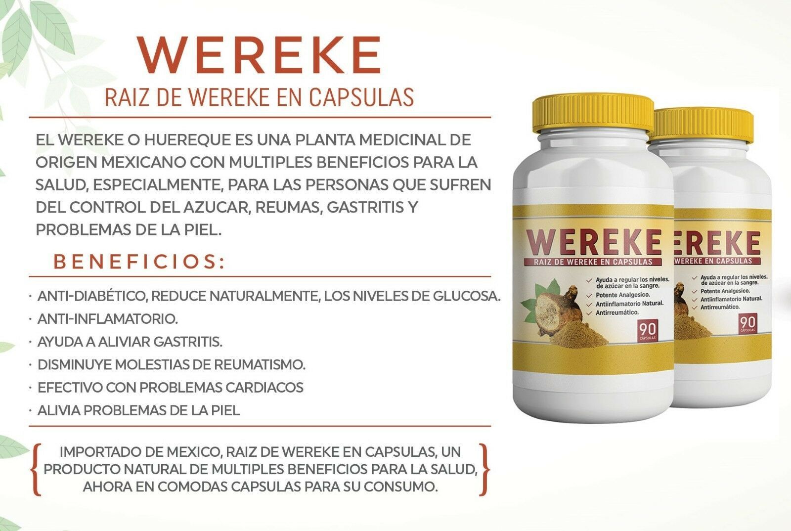Wereke Raiz de Wereke en Capsulas. Set De 2 frascos. Guereque o ...