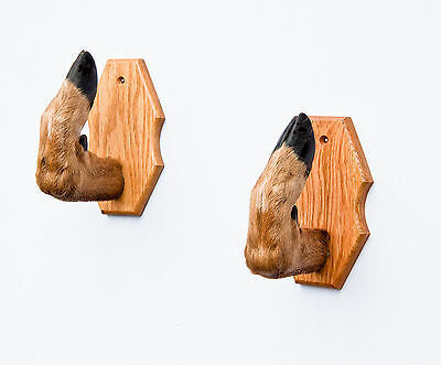 Whitetail Taxidermy Deer Hoof Gun Rack on Oak Plaques Gunrack - Racks