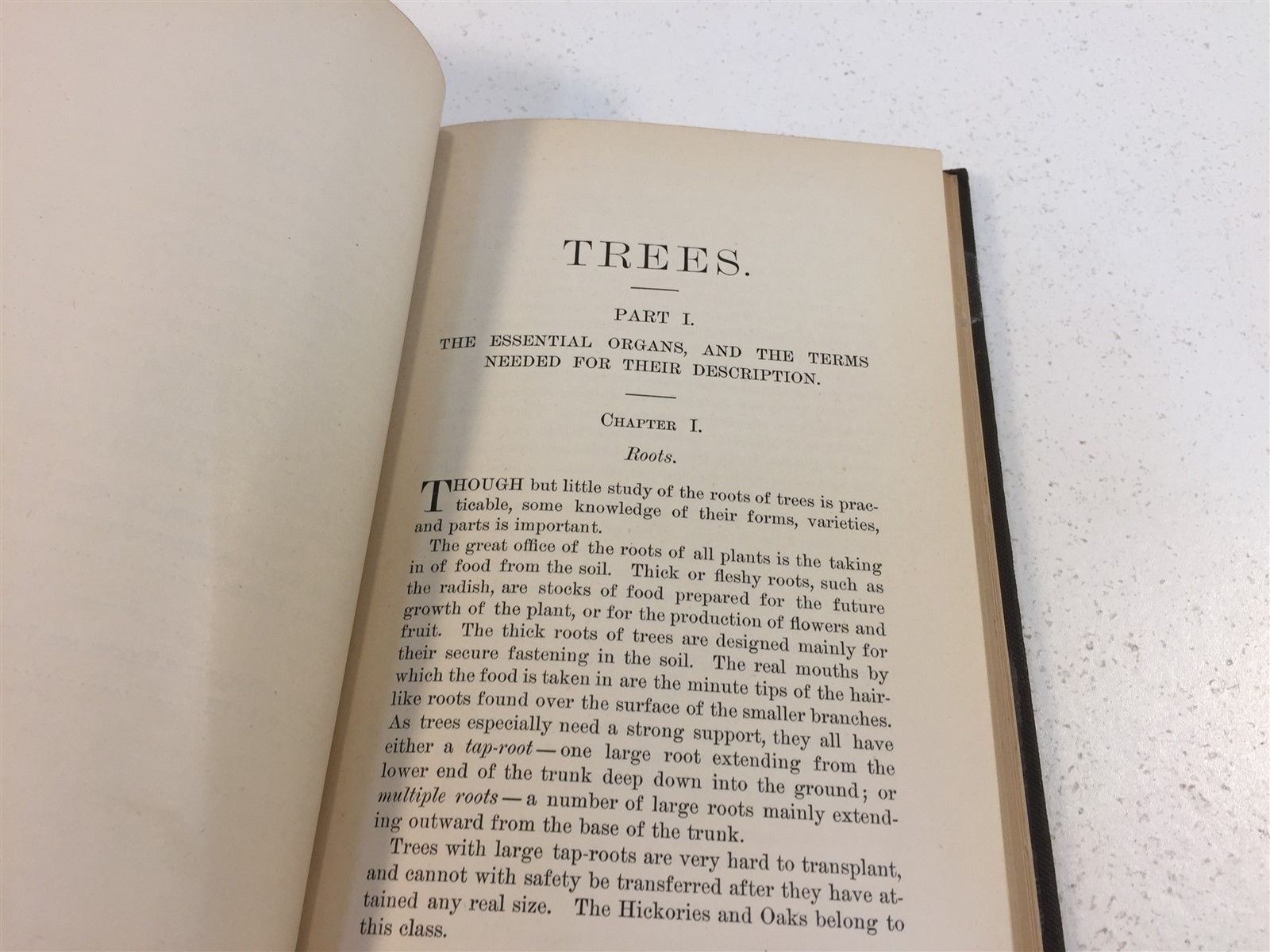 Apgar's Trees of The Northern United States by Austin Apgar HC Undated ...