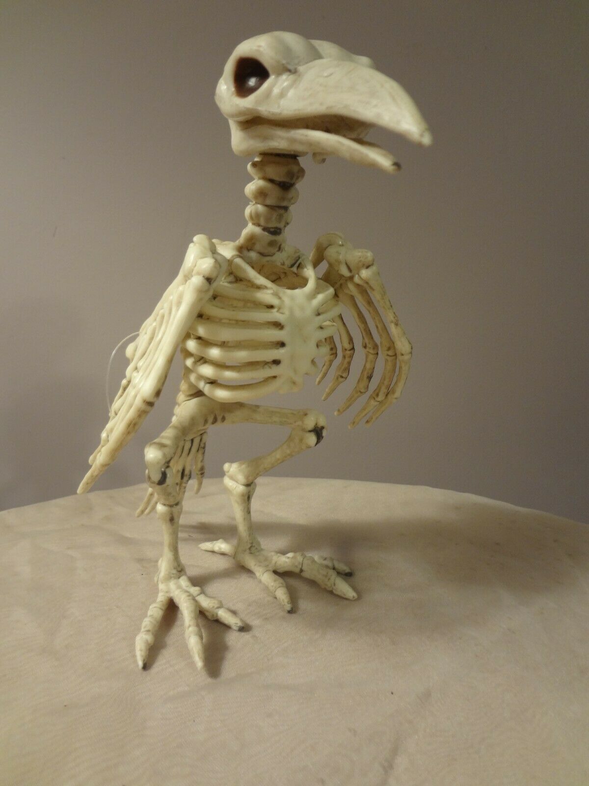 Halloween Plastic Crow Skeleton - Skeletons & Skulls