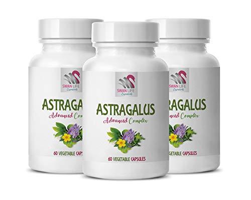 Astragalus Capsules - Astragalus Advanced Complex - antioxidant Health ...
