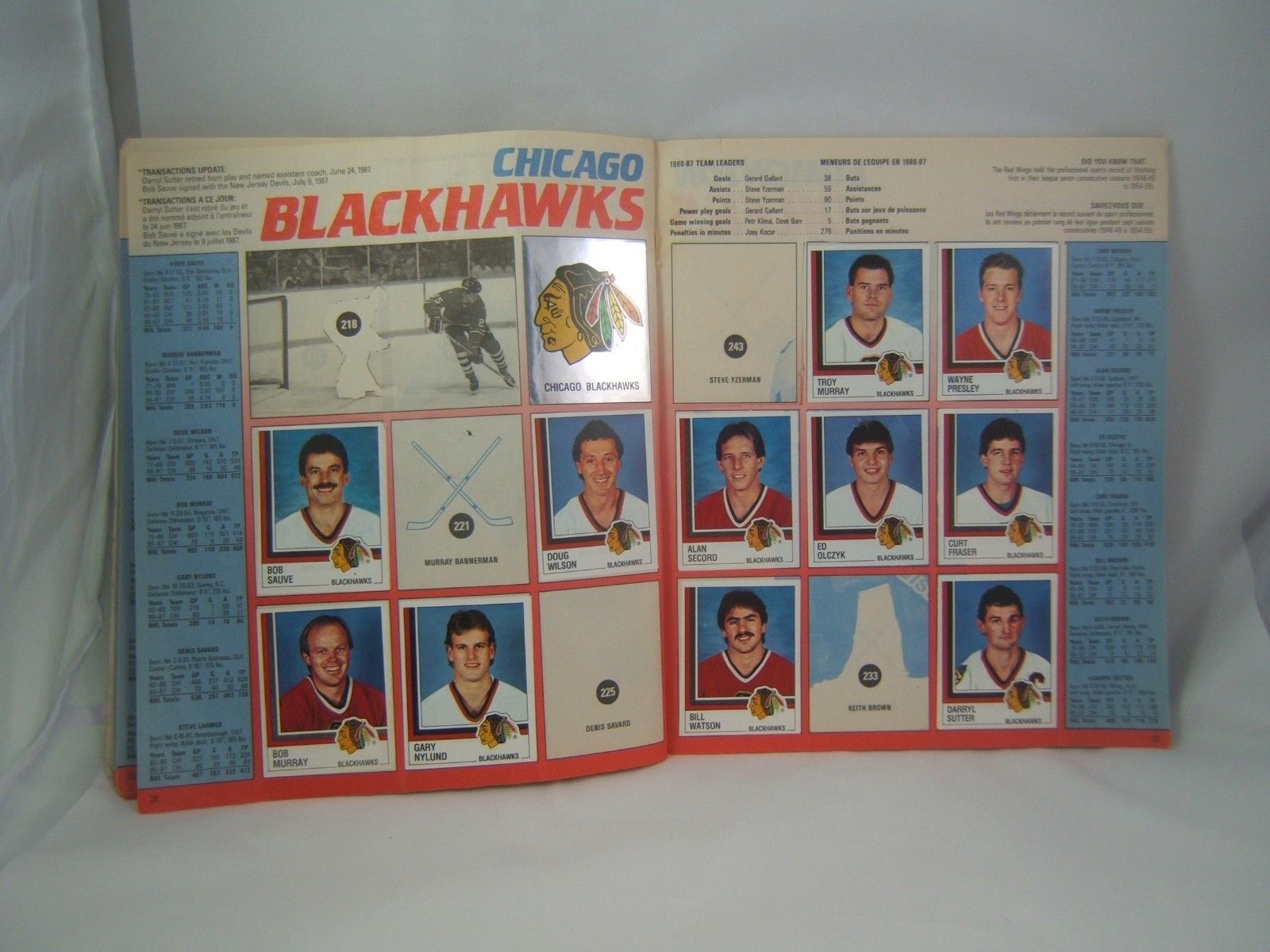 Hockey '87 Sticker Album Book NHL Panini 1987 Incomplete - Sports ...