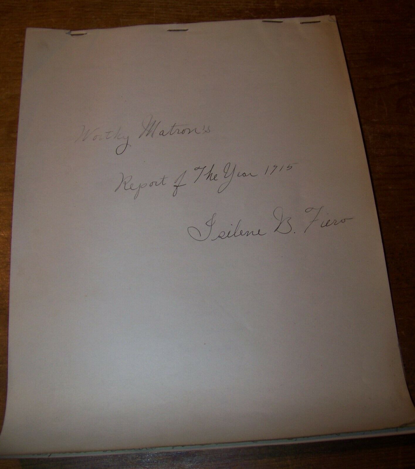 1915 WORTHY MATRONS ANNUAL REPORT SARATOGA COUNTY NY FRATERNAL DOCUMENT ...