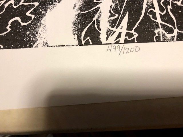 JOE QUESADA & JIMMY PALMIOTTI HAND SIGNED 15x10 Rare 19 x 14 499 of ...