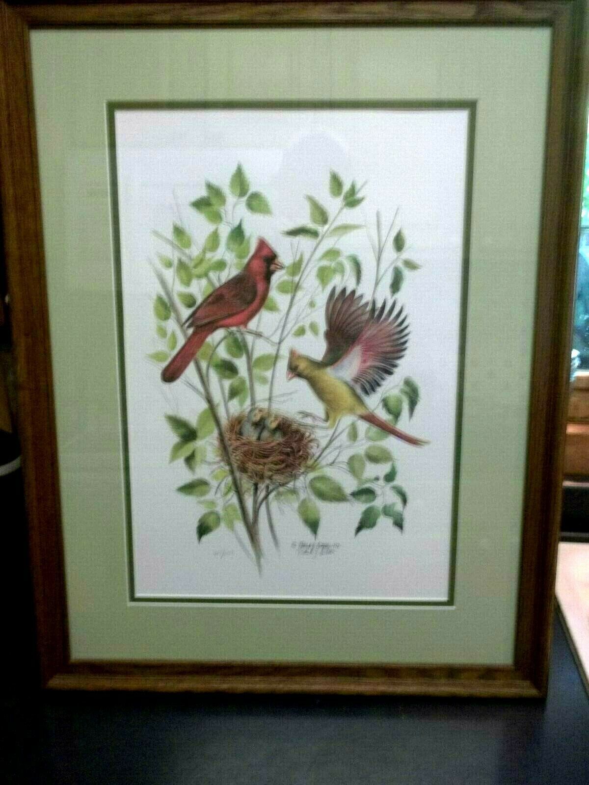 Patrick J. Costello 1978 Cardinal Print Framed & Matted 26 3/4" Tall 20 ...