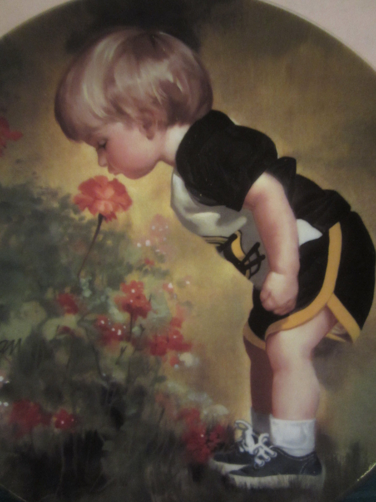 GRANDMA's GARDEN collector plate DONALD ZOLAN flower WONDER OF ...