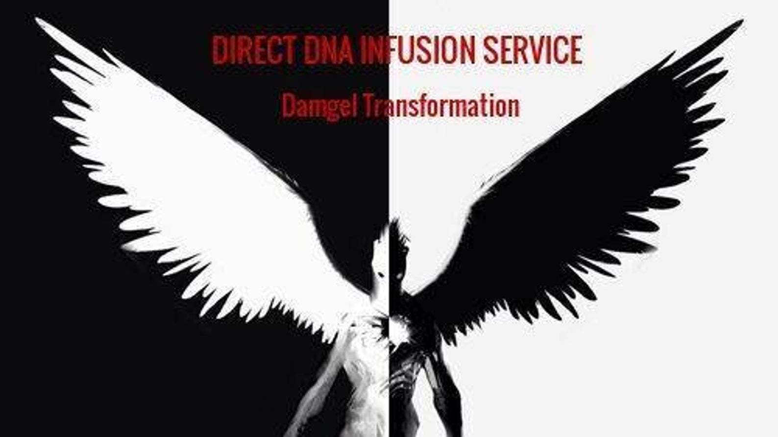 DEMON ANGEL Hybrid - Direct DNA infusion - Damgel Transformation ...