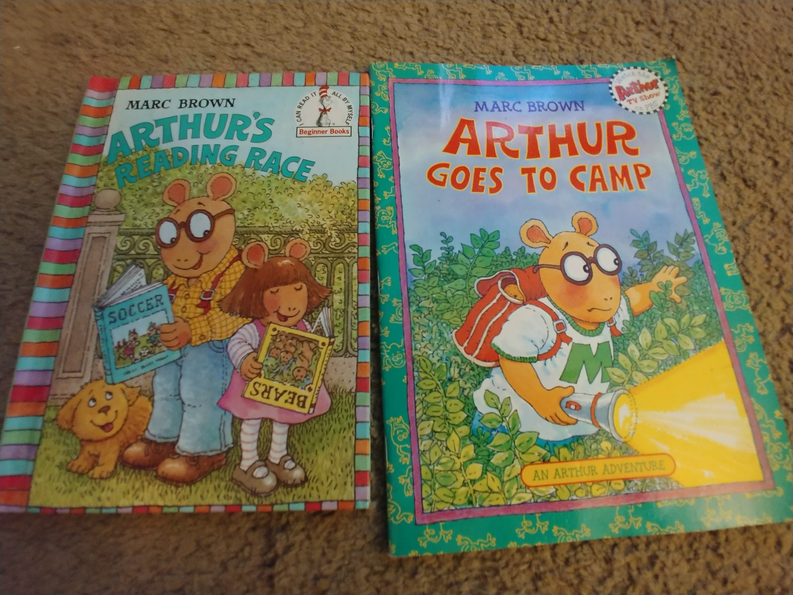 Bulk Lot of Arthur Books - Books