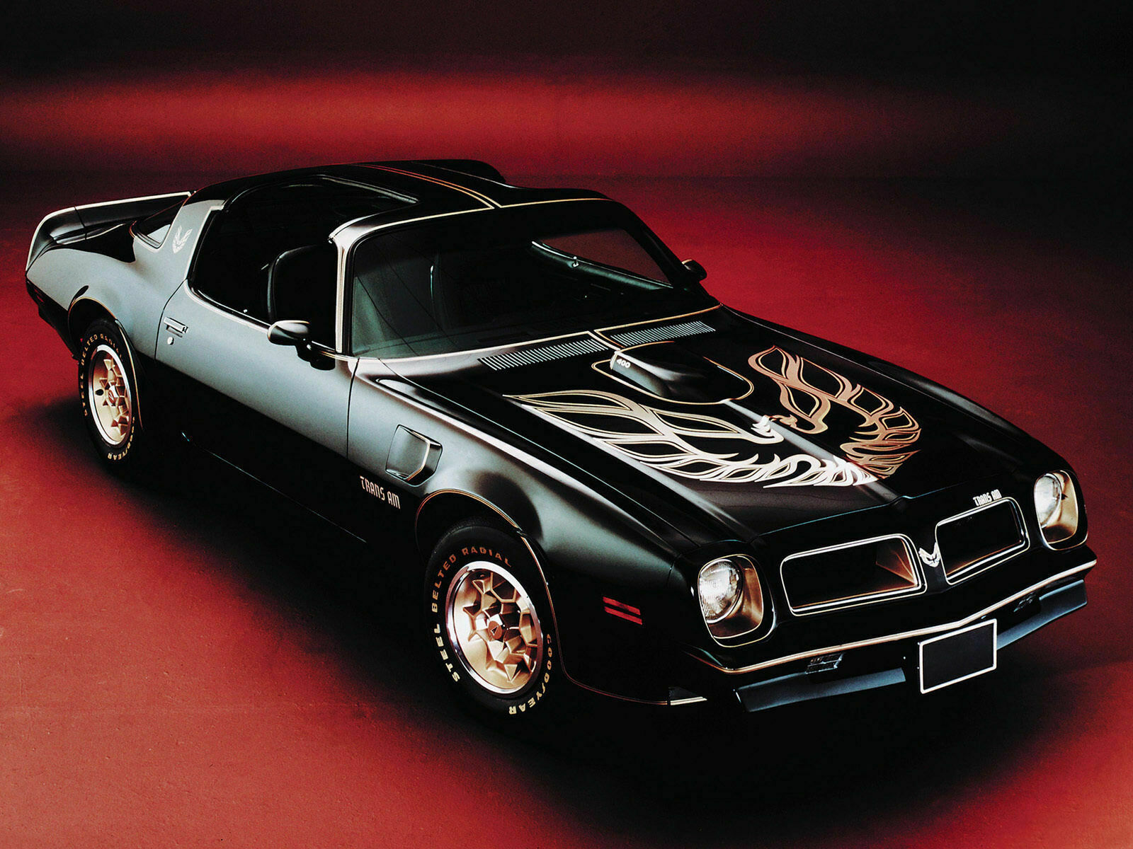 1976 PONTIAC FIREBIRD TRANS AM (BLACK -BIRD) POSTER 24 X 36 INCH ...