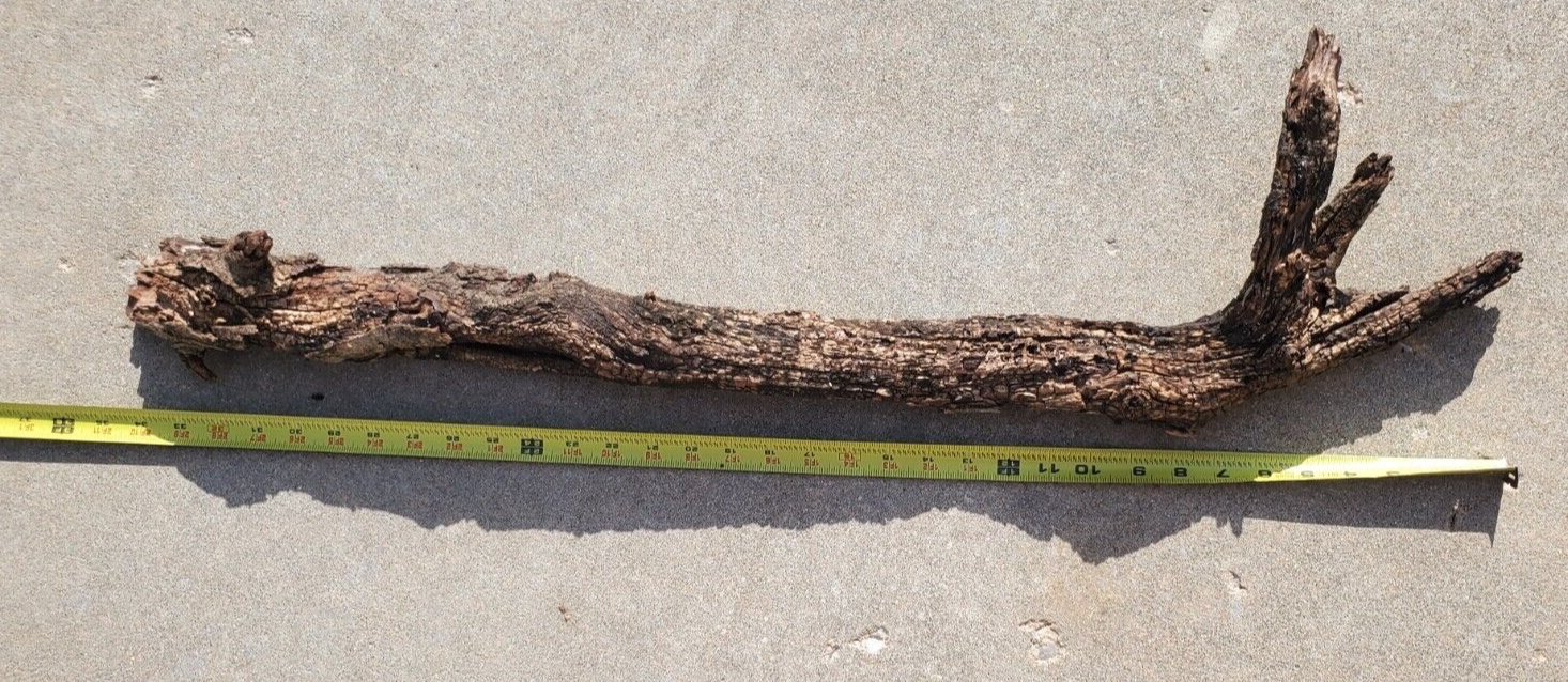 real wood branch craft project rustic planter large - Wooden Pieces