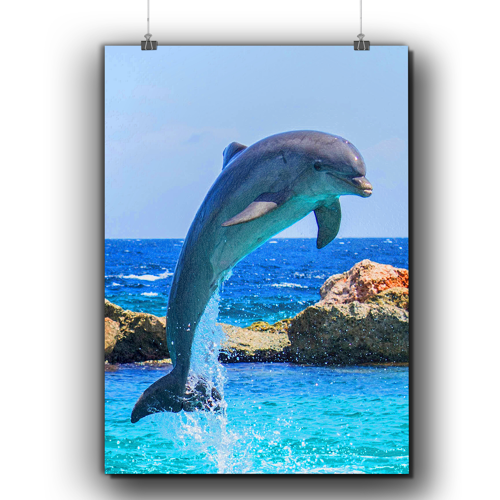 Dolphin Ocean Wild Animal Smart Fish Matte/Glossy Poster A0 A1 A2 A3 A4 ...