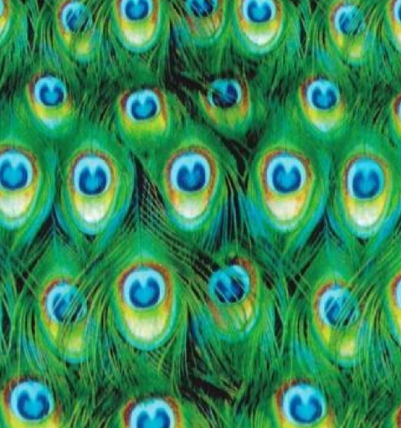 WATER TRANSFER HYDROGRAPHIC FILM HYDRO DIP HYDRO-DIPPING SINGLE PEACOCK ...