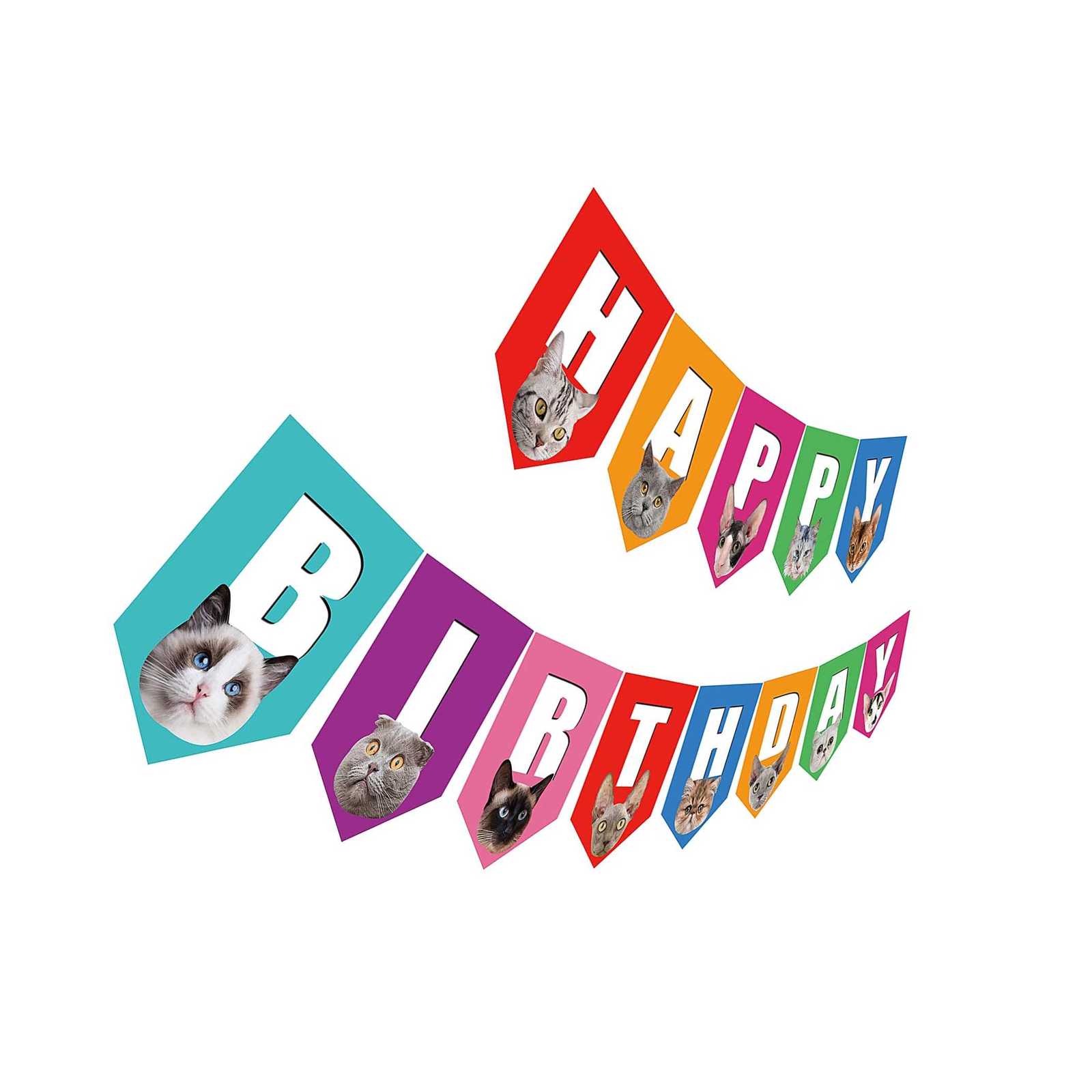Cat Birthday , Happy Birthday Sign With Cat Face, Colorful Cat Bday ...