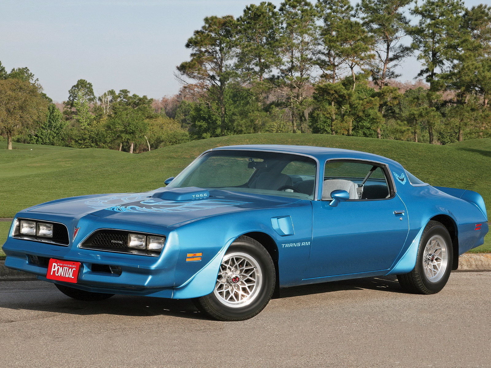 1977 Pontiac Trans Am front qty blue, 24 x 36 Inch Poster, formula, 6.6 ...