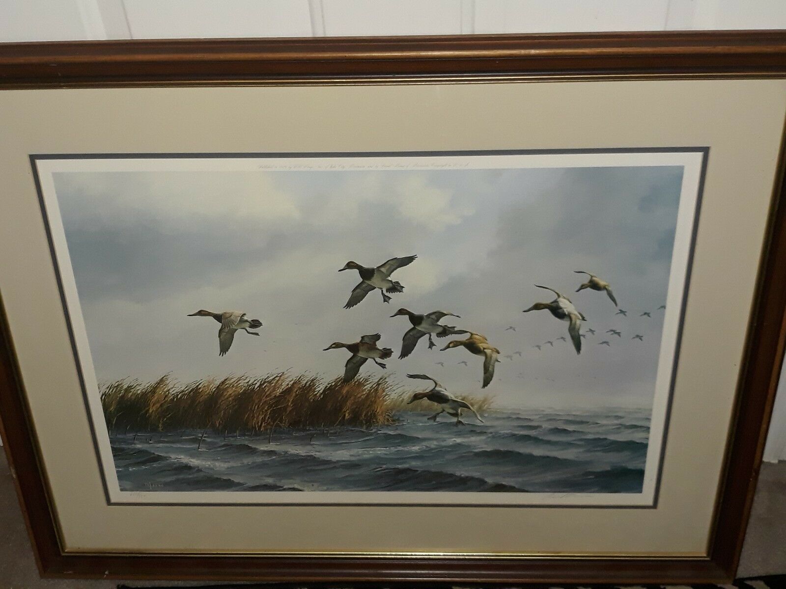 "Swinging the Channel" Signed, Numbered Framed Litho Print David Maass ...