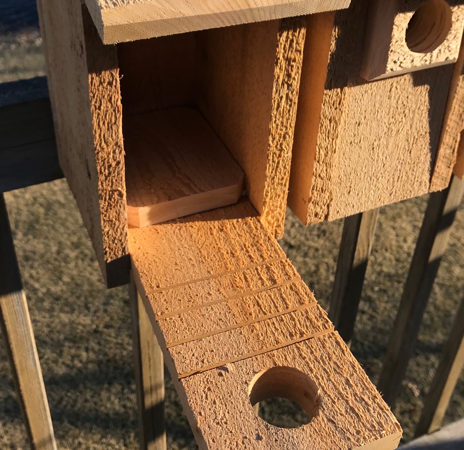 3/4" Solid Thick Cedar Bluebird Birdhouse Bird House Predator Guard Top ...
