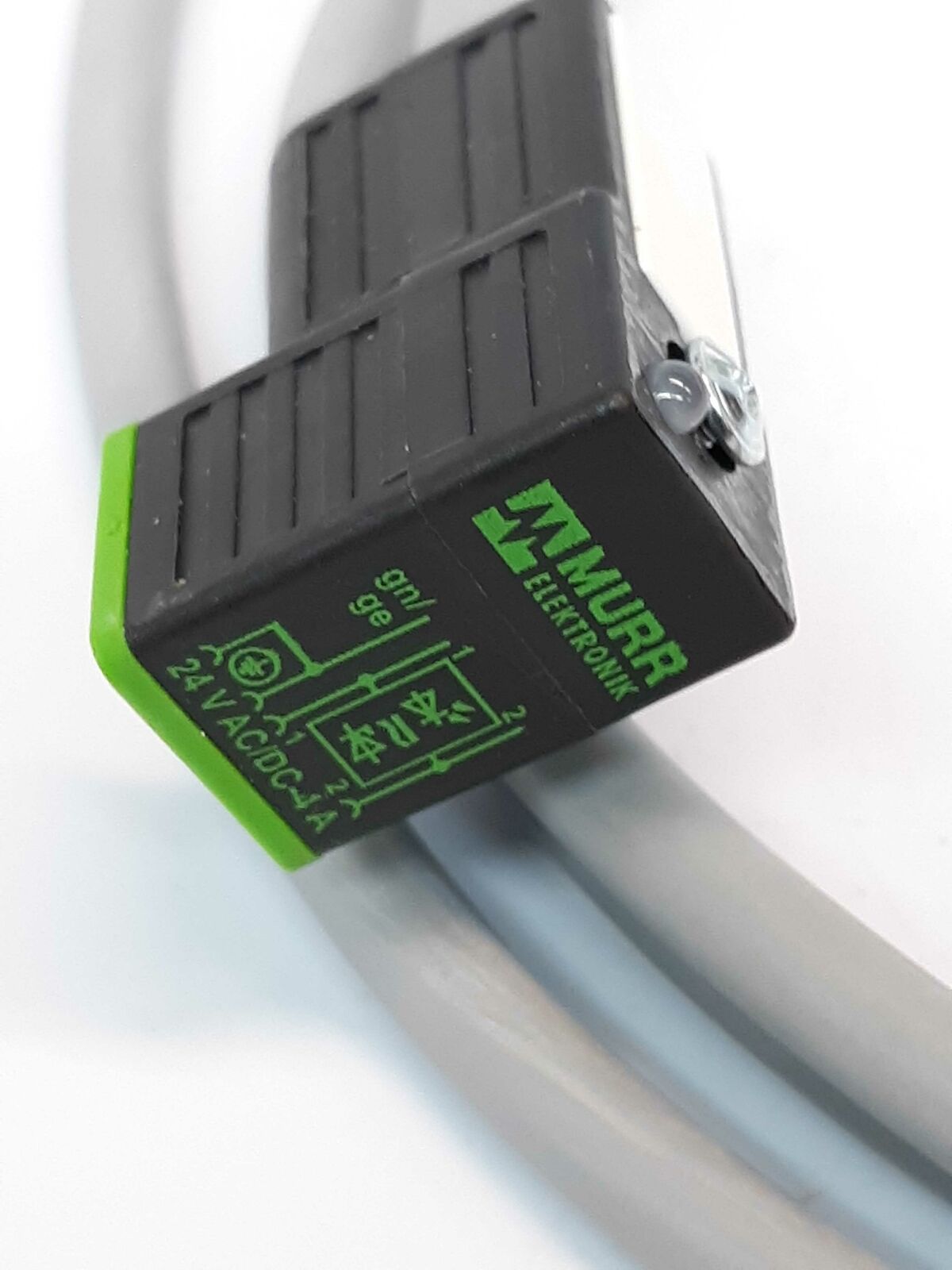 Murr 7000-94021-2260150 MSUD Valve Plug Cordset 1.5M 4A 24V AC/DC ...