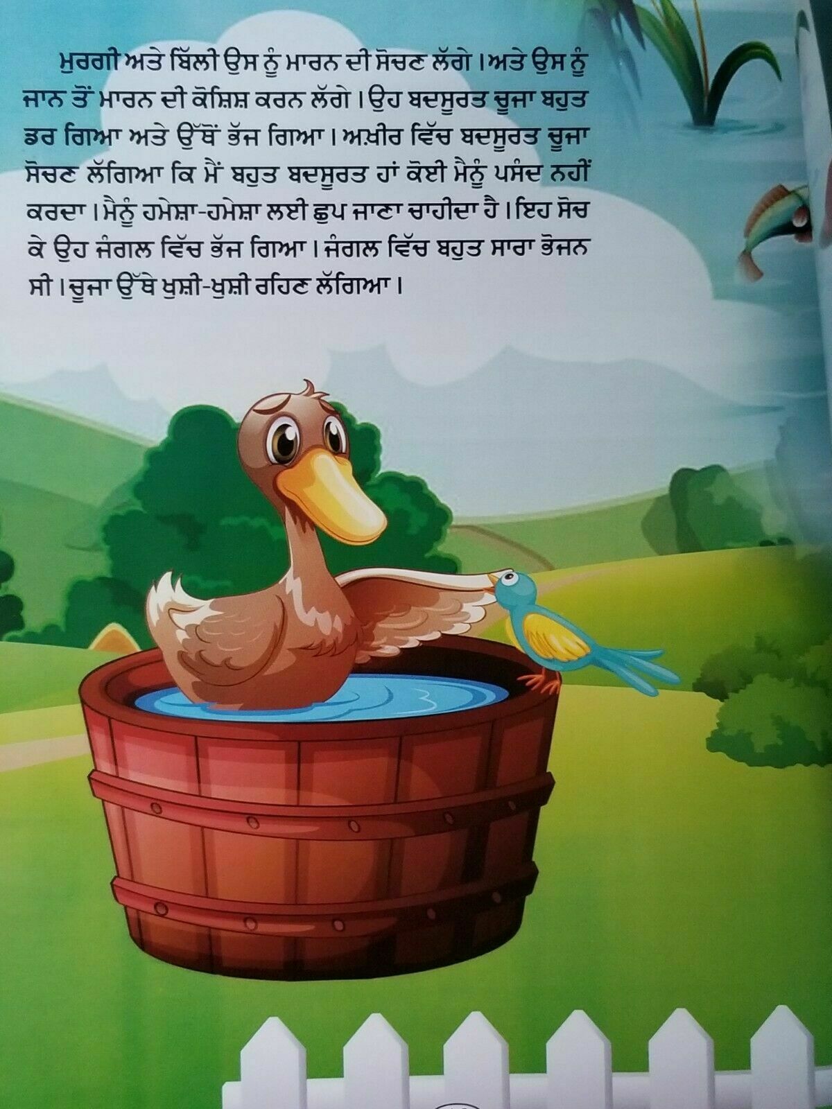 Punjabi Reading Kids Dada Dadi Story Book An Ugly Duckling Panjabi ...