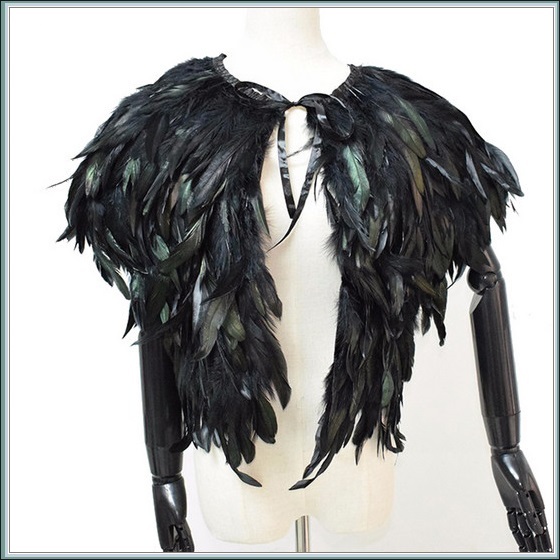Norse Fertility Love Godess Freya's Traveling Cloak Of Raven Falcon ...