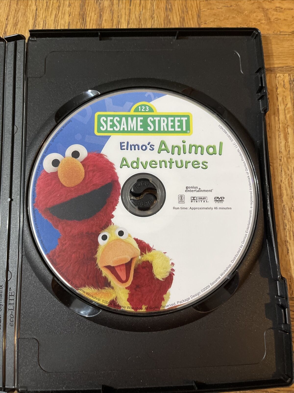 Sesame Street Elmos Animal Adventure DVD - DVDs & Blu-ray Discs